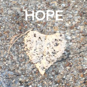 Hope - The MOAT Blog by Kay Wyma